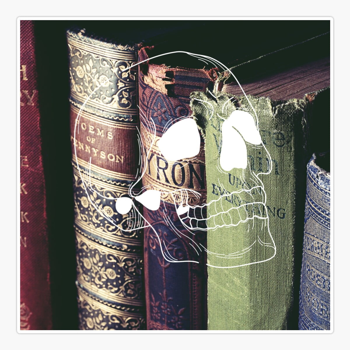 Maneki Skull Byron Old Books Dark Academia Sticker, Phone Decal Water ...