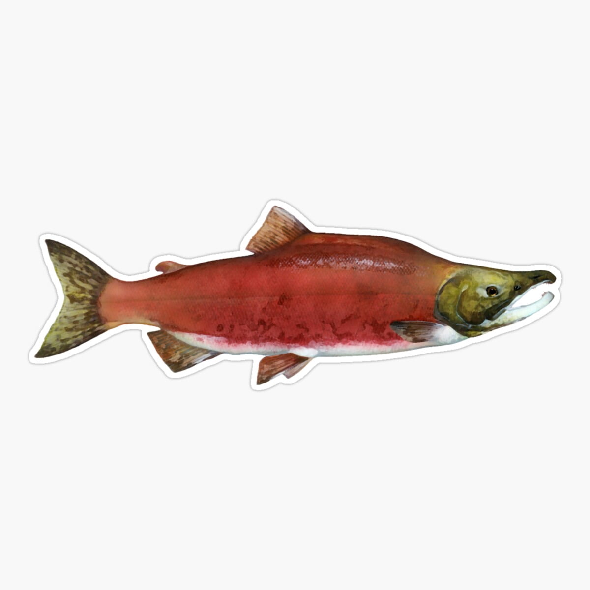 Maneki Sockeye Salmon Er, Phone Decal Water Bottle Stickers Car Decals ...
