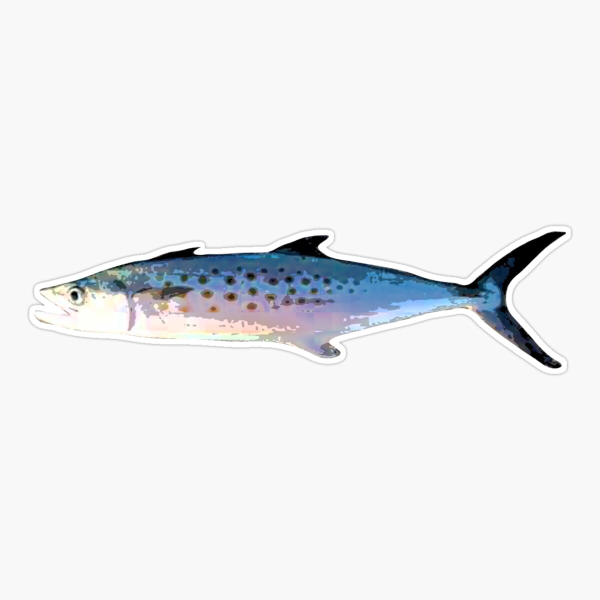 Maneki Spanish Mackerel Color Print Er, Phone Decal Water Bottle ...