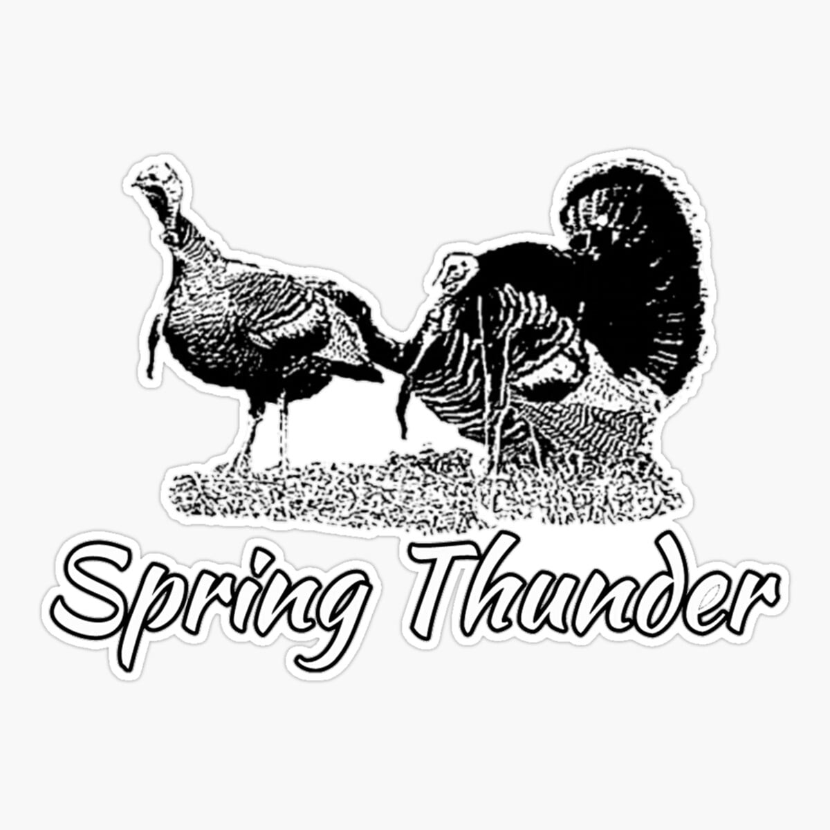 Maneki Spring Thunder Er, Phone Decal Water Bottle Stickers Car Decals ...