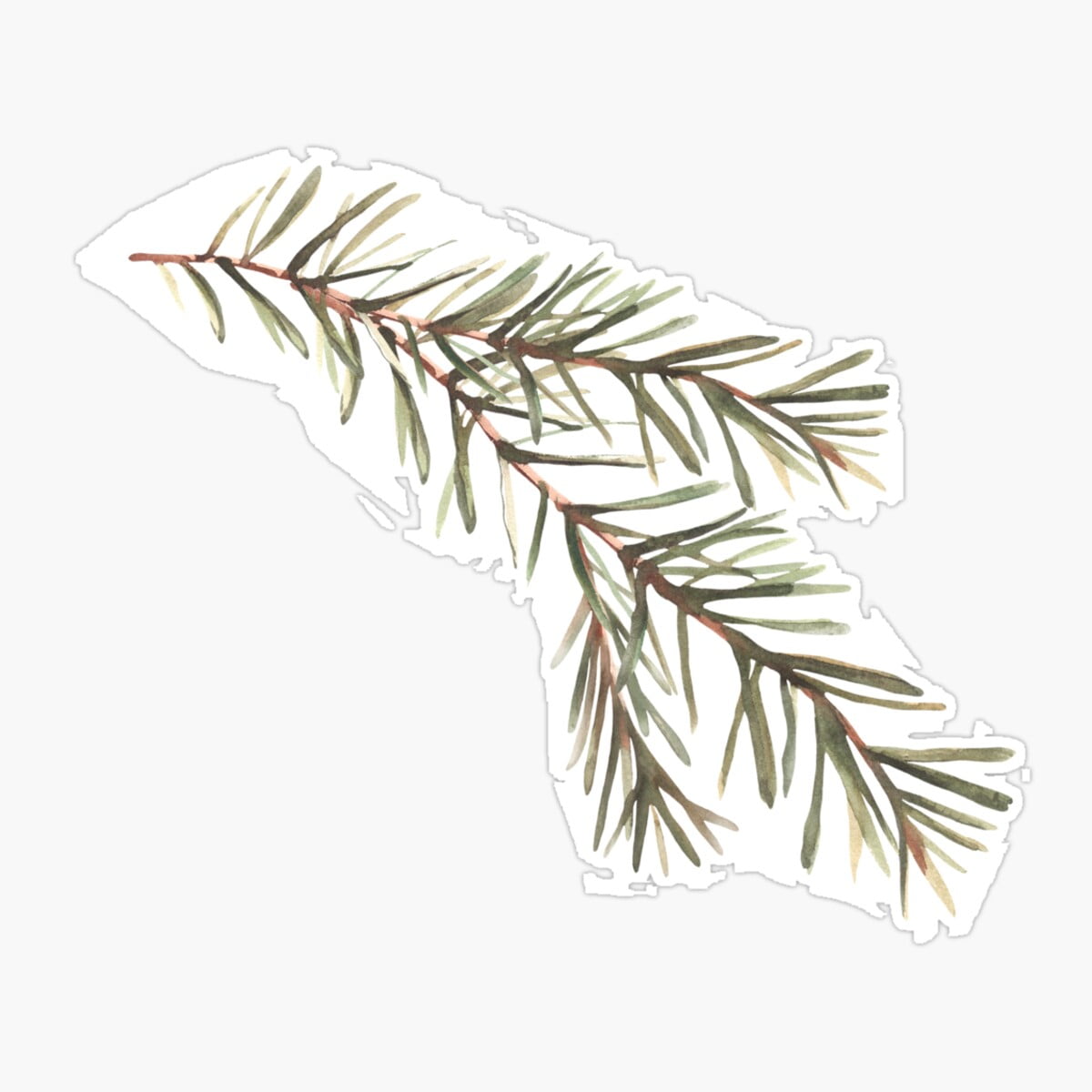 Maneki Spruce Branch With Needles. Twig Of Pine Or Christmas Fir Tree. Watercolor Clipart ...
