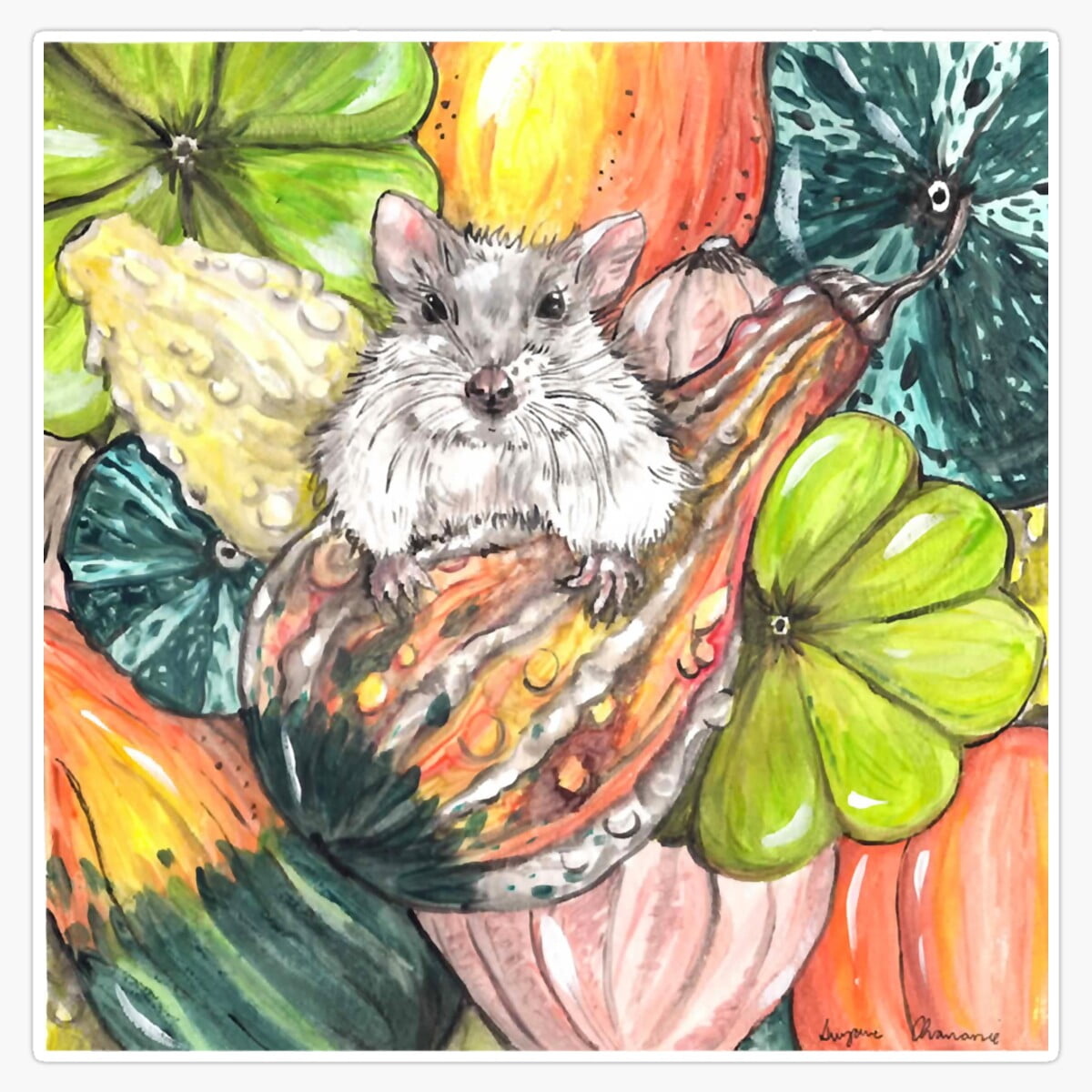 Maneki Squash Premium Er, Phone Decal Water Bottle Stickers Car Decals ...