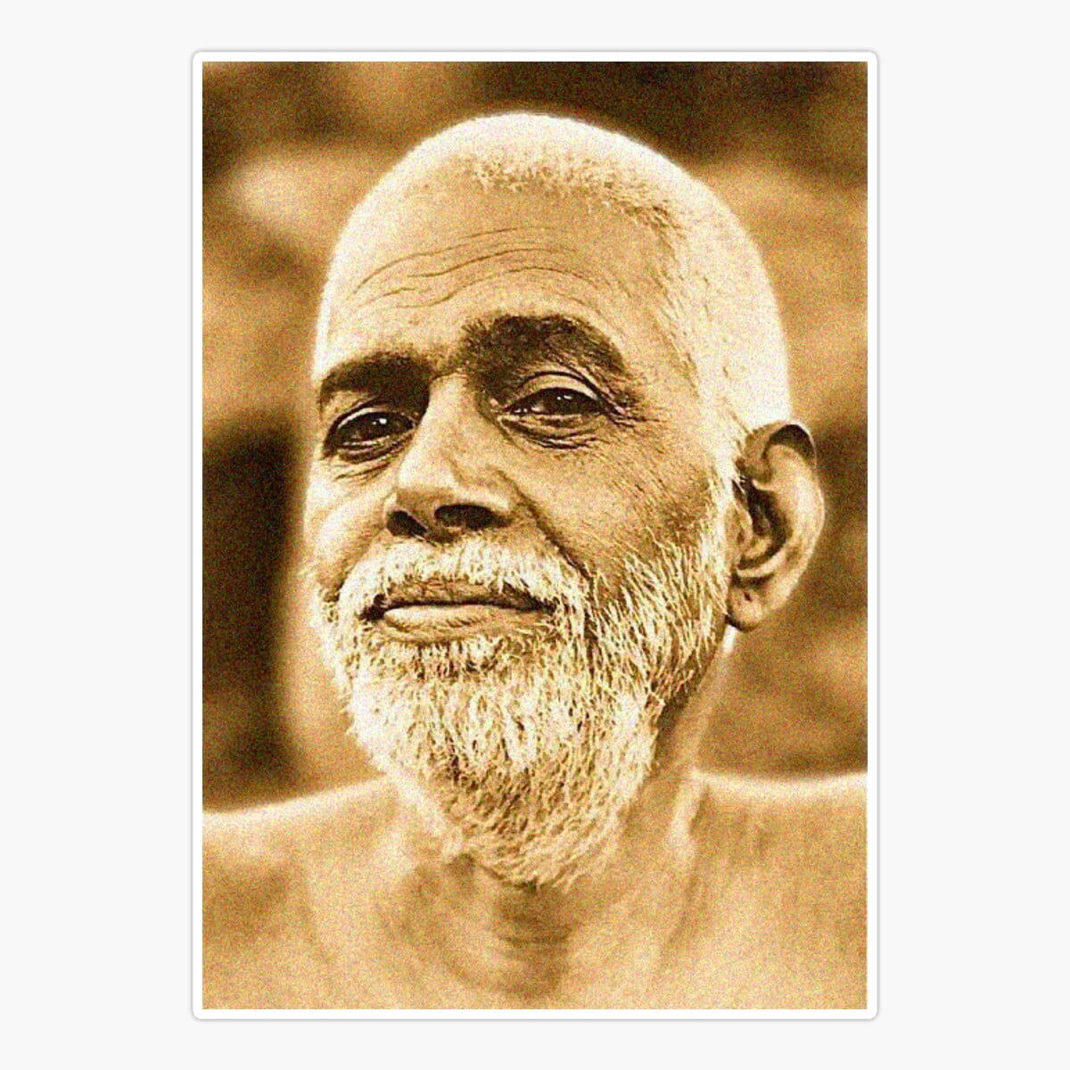 Maneki Sri Ramana Maharshi Er, Phone Decal Water Bottle Stickers Car ...