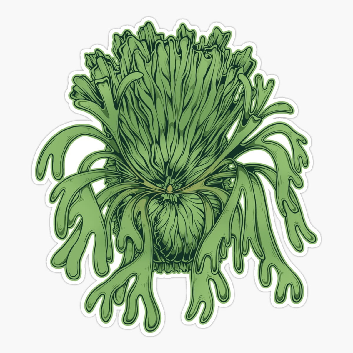 Maneki Staghorn Fern Illustration - Platycerium Kitshakood Hybrid ...