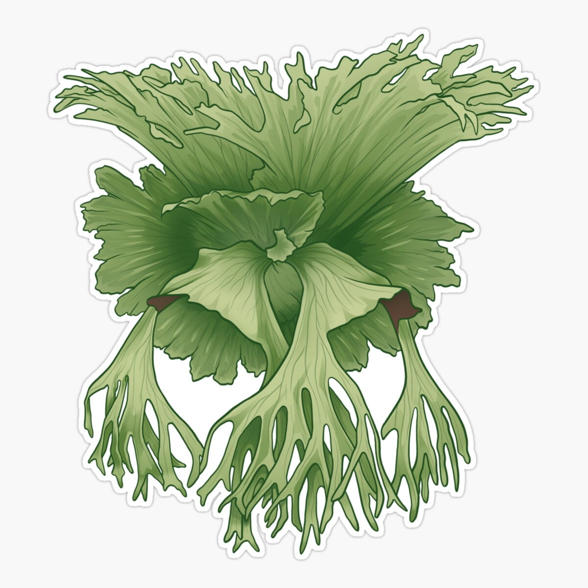 Maneki Staghorn Fern - Platycerium Superbum Sticker, Phone Decal Water ...