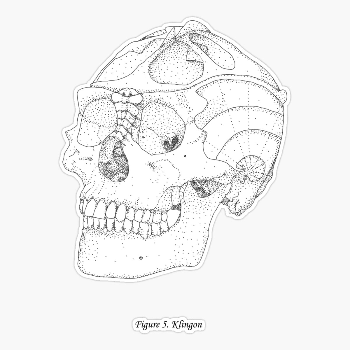 Maneki Star Trek Klingon Skull Scientific Illustration Sticker, Phone ...