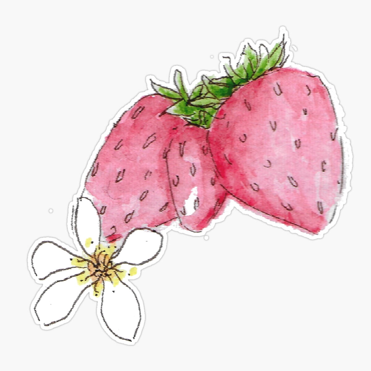 Maneki Strawberries And Strawberry Blossom Watercolor Sticker, Phone ...