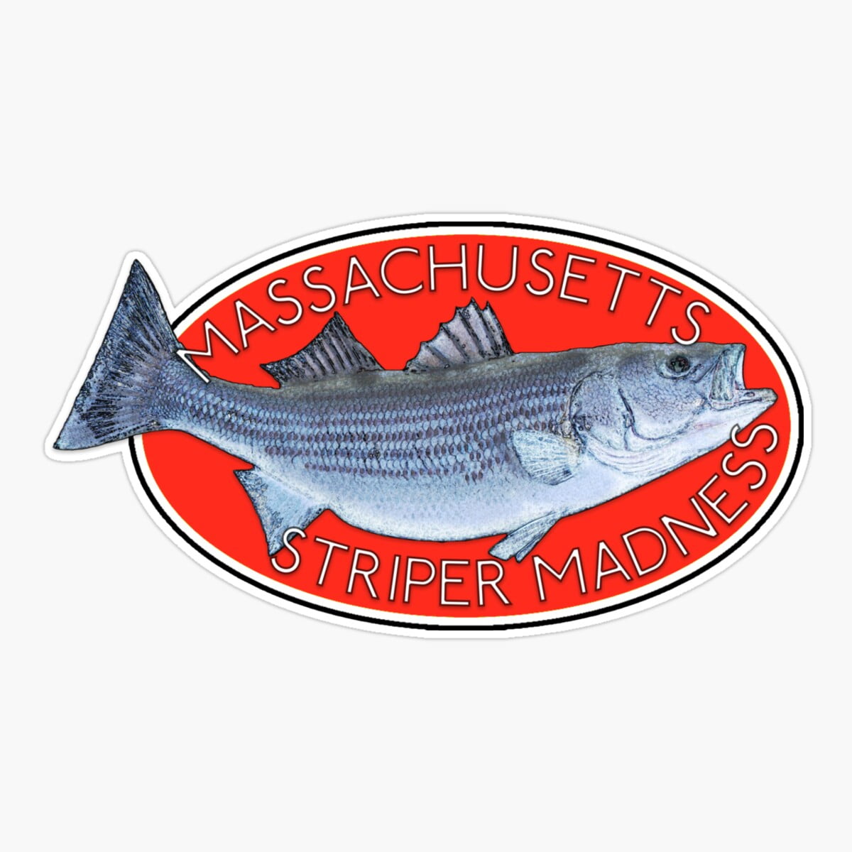 Maneki Striper Ishing - Machusetts Striper Madness (Red) Er, Phone ...