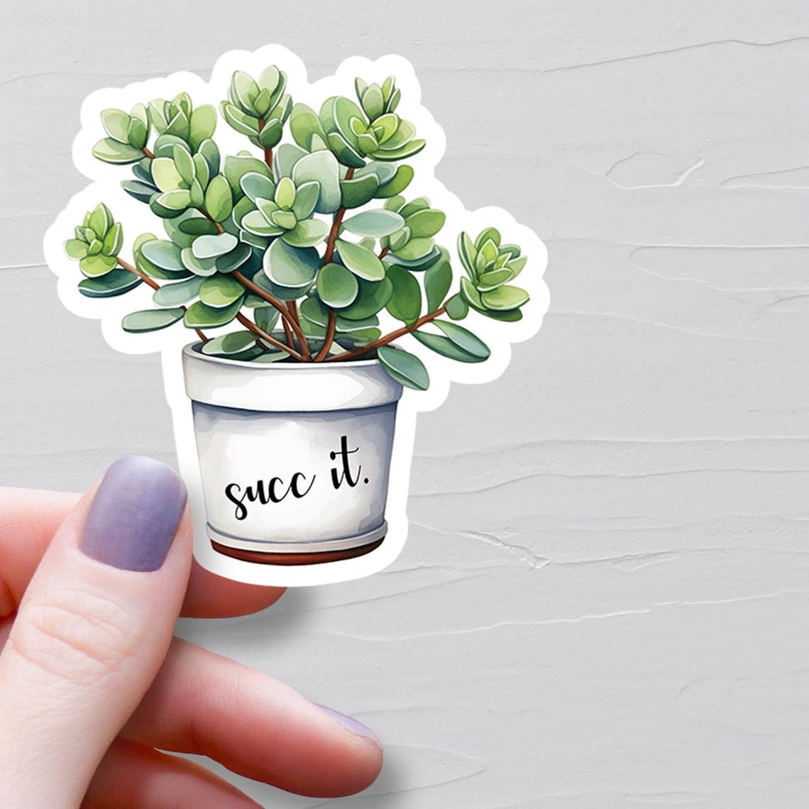 Maneki Succ It Er, Vinyl Succulent Ers, Funny Ers, Plant Life, Water ...