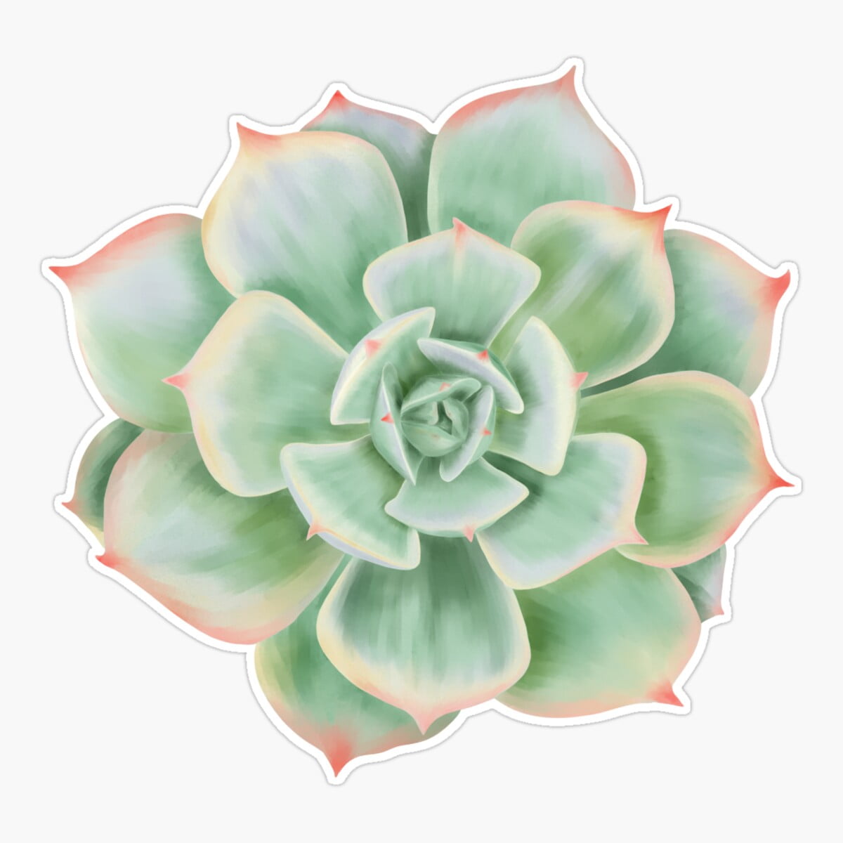 Maneki Succulent Plant 2 Sticker, Phone Decal Water Bottle Stickers Car ...