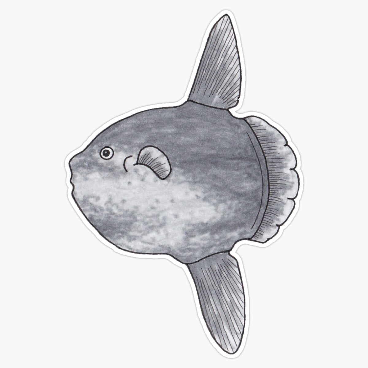 Maneki Sunfish Fish Er, Phone Decal Water Bottle Stickers Car Decals ...