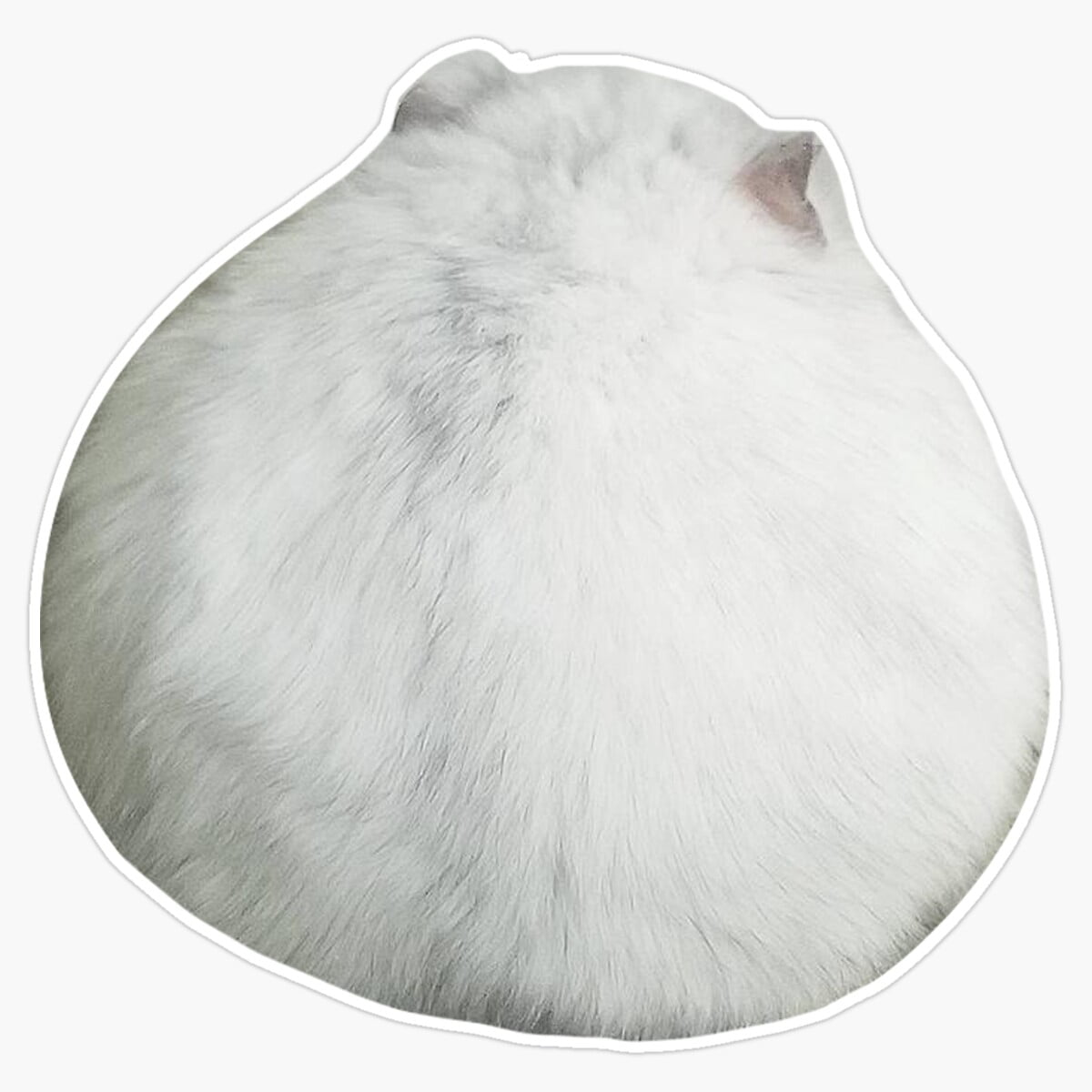 Maneki Sylvester The Hamster'S Bum Er, Phone Decal Water Bottle ...