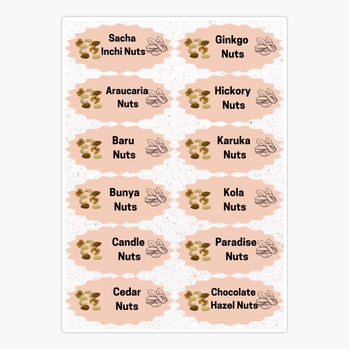 Maneki Talented Kitchen Water Resistant Dry Ruits 12 Piece Set By ...