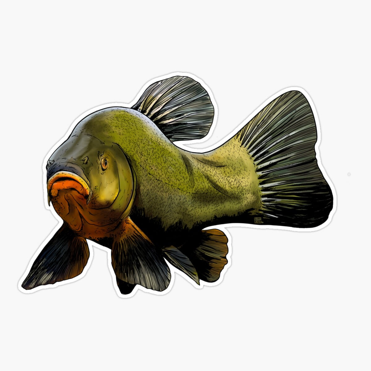 Maneki Tench Er, Phone Decal Water Bottle Stickers Car Decals, Funny ...