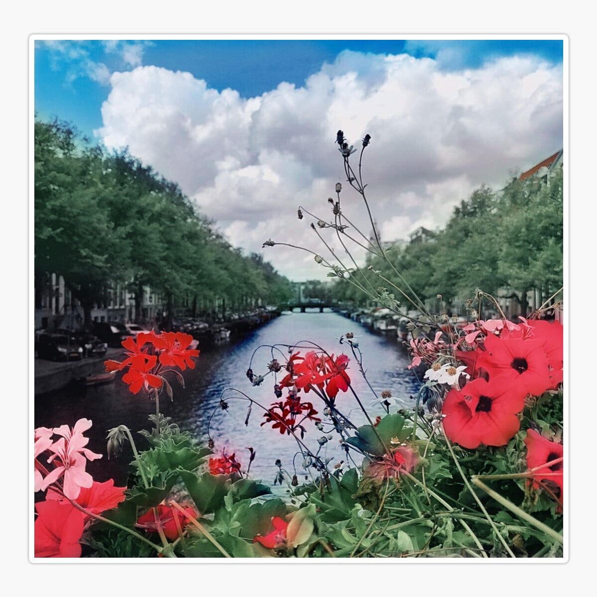 Maneki The Canals Of Amsterdam Sticker, Phone Decal Water Bottle ...