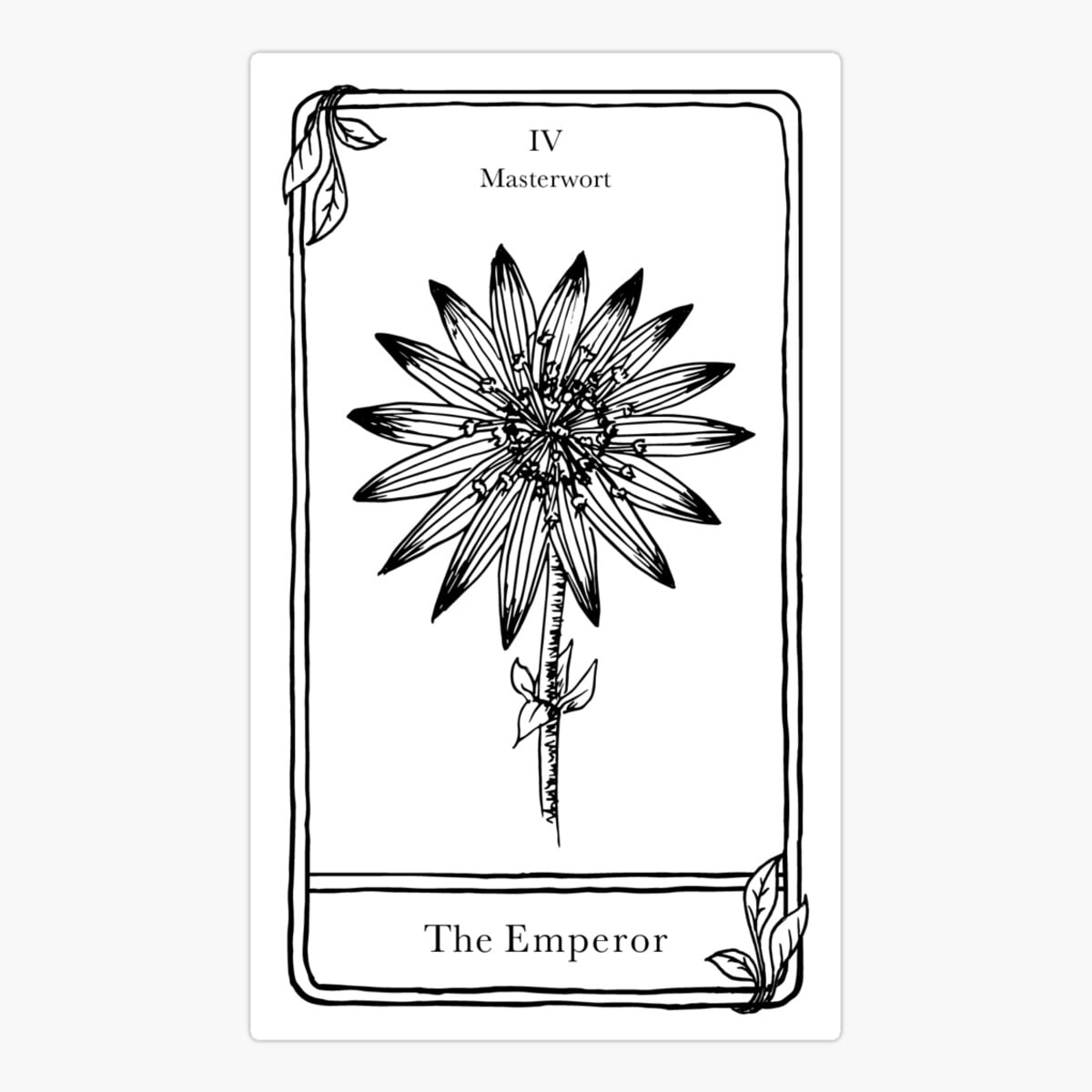 Maneki The Emperor Tarot Card Er | Masterwort, Botanical, Plant ...