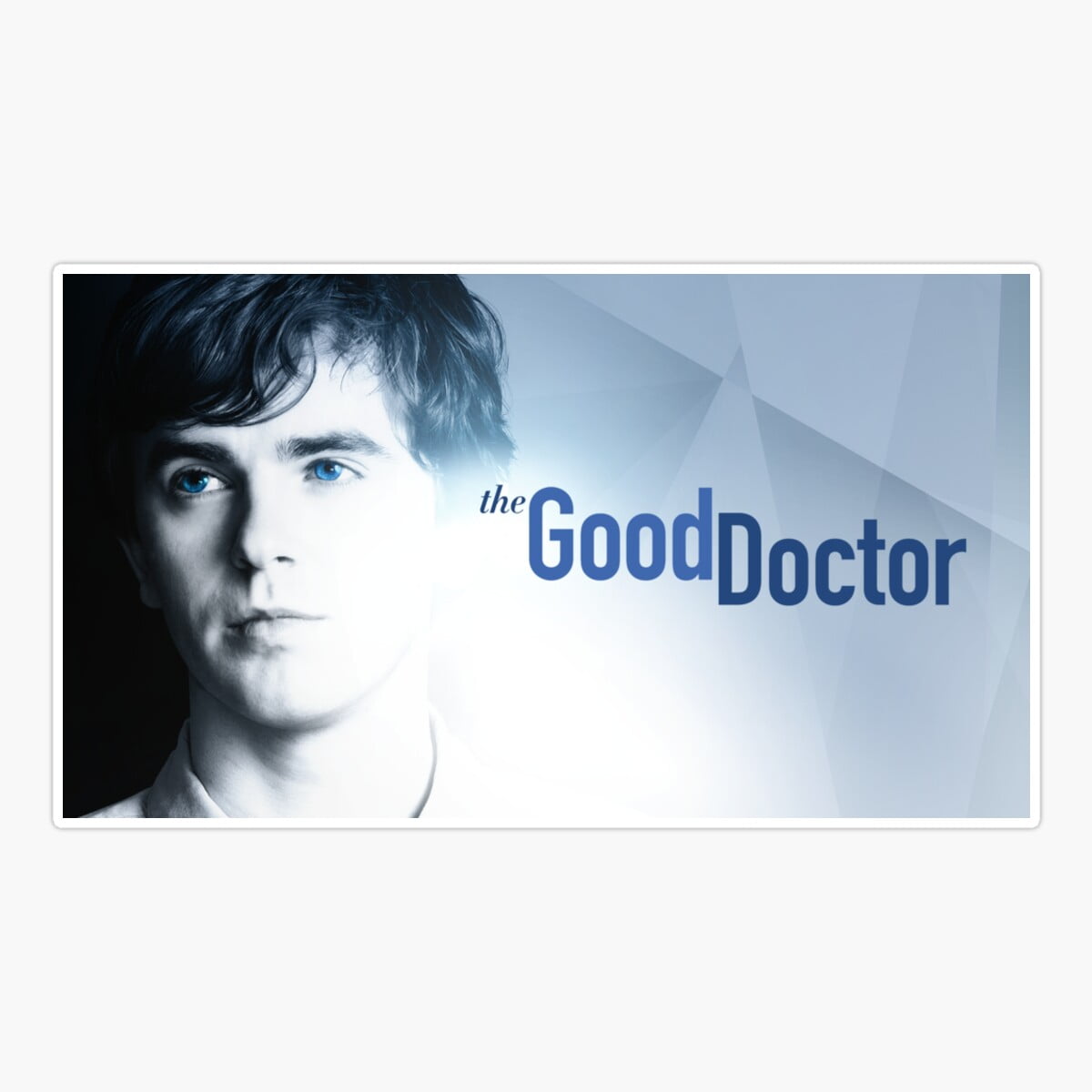 Maneki The Good Doctor Er, Phone Decal Water Bottle Stickers Car Decals ...