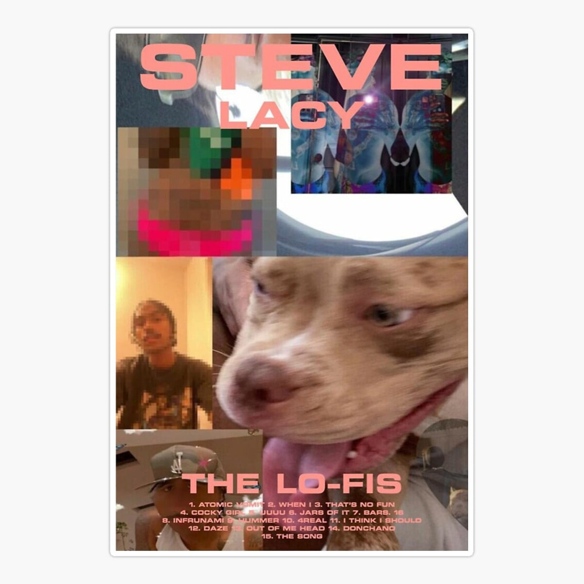 Maneki The Lo-Fis - Steve Lacy Album Sticker, Phone Decal Water Bottle ...