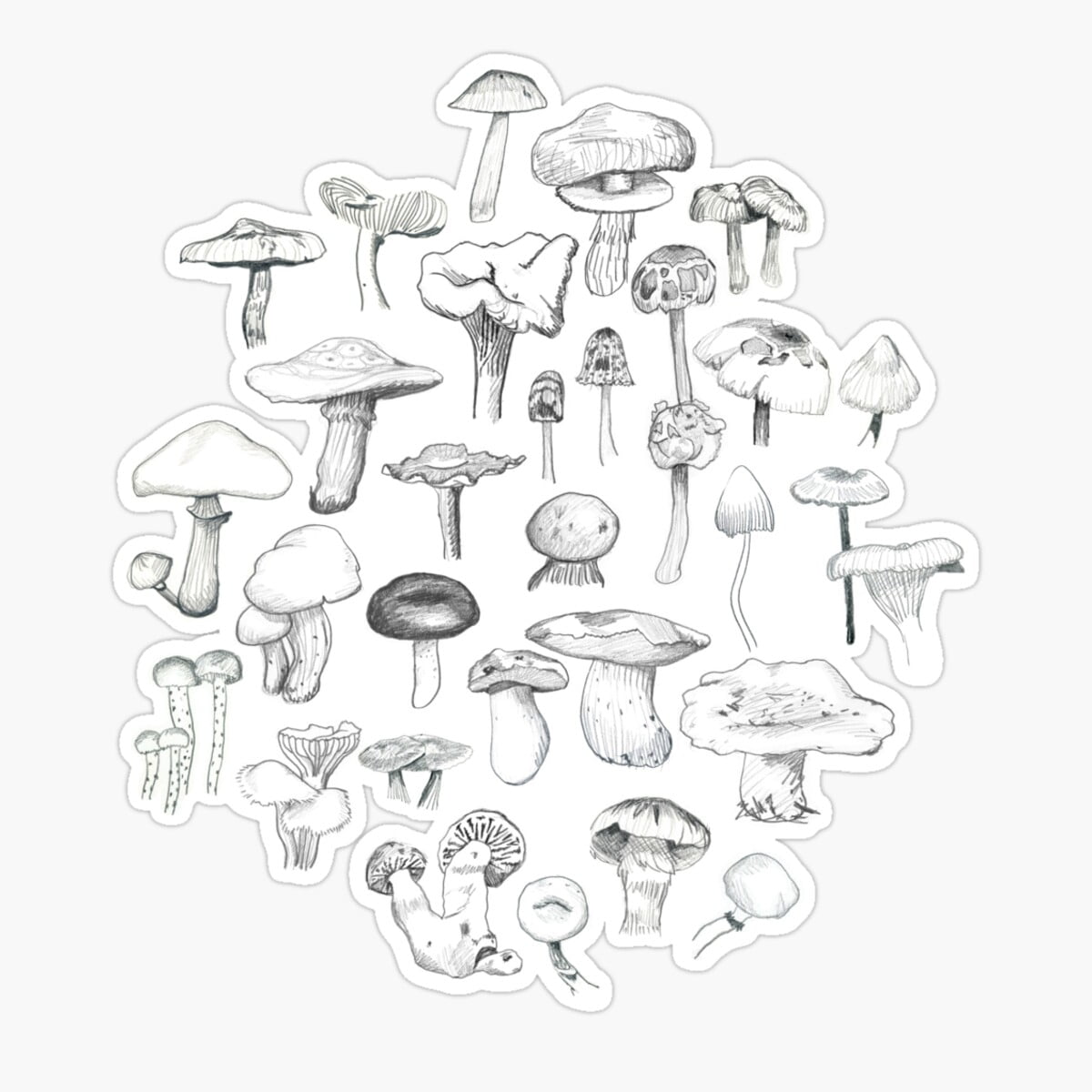 Maneki The Mushroom Gang Sticker, Phone Decal Water Bottle Stickers Car ...