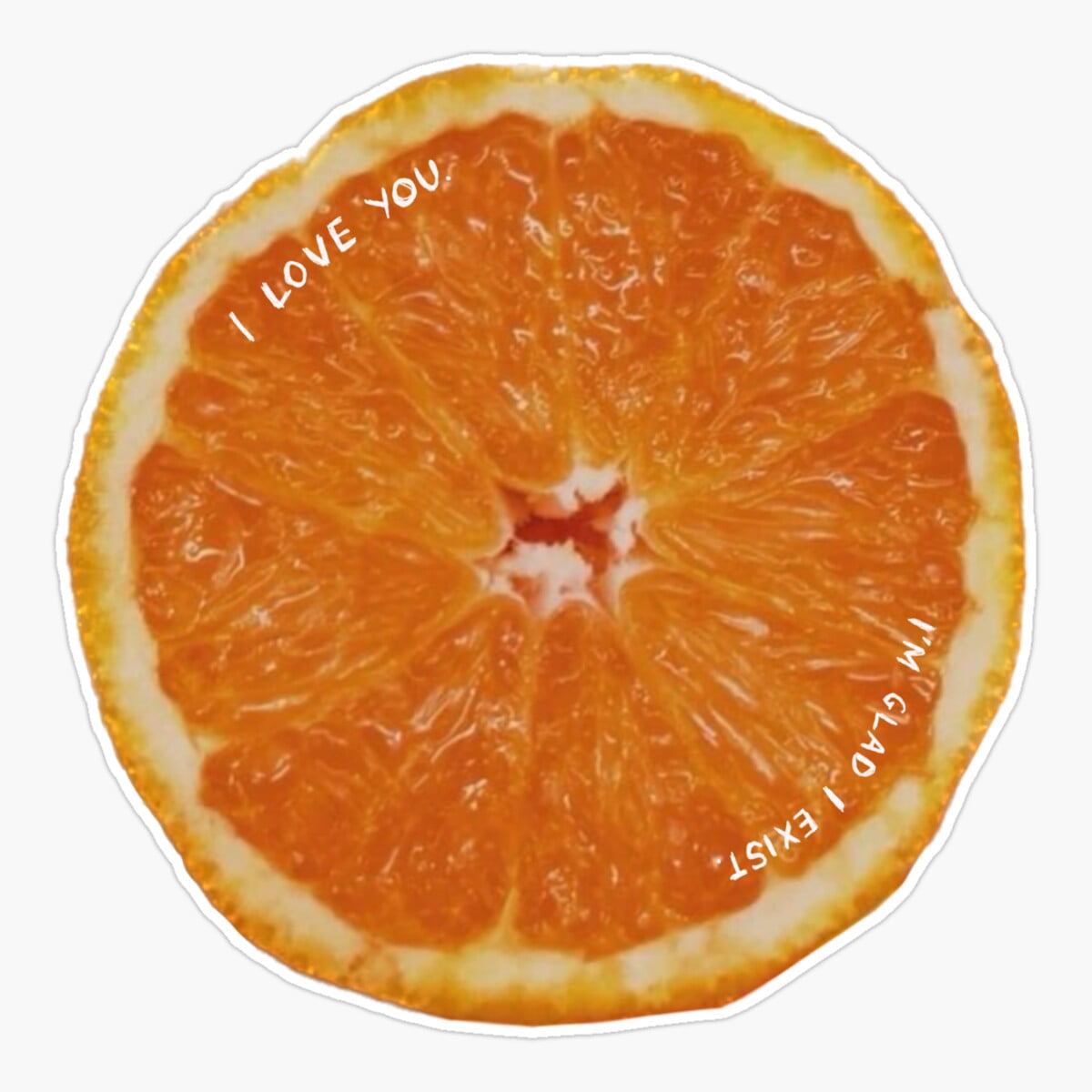 Maneki The Orange By Wendy Cope Er Er, Phone Decal Water Bottle ...