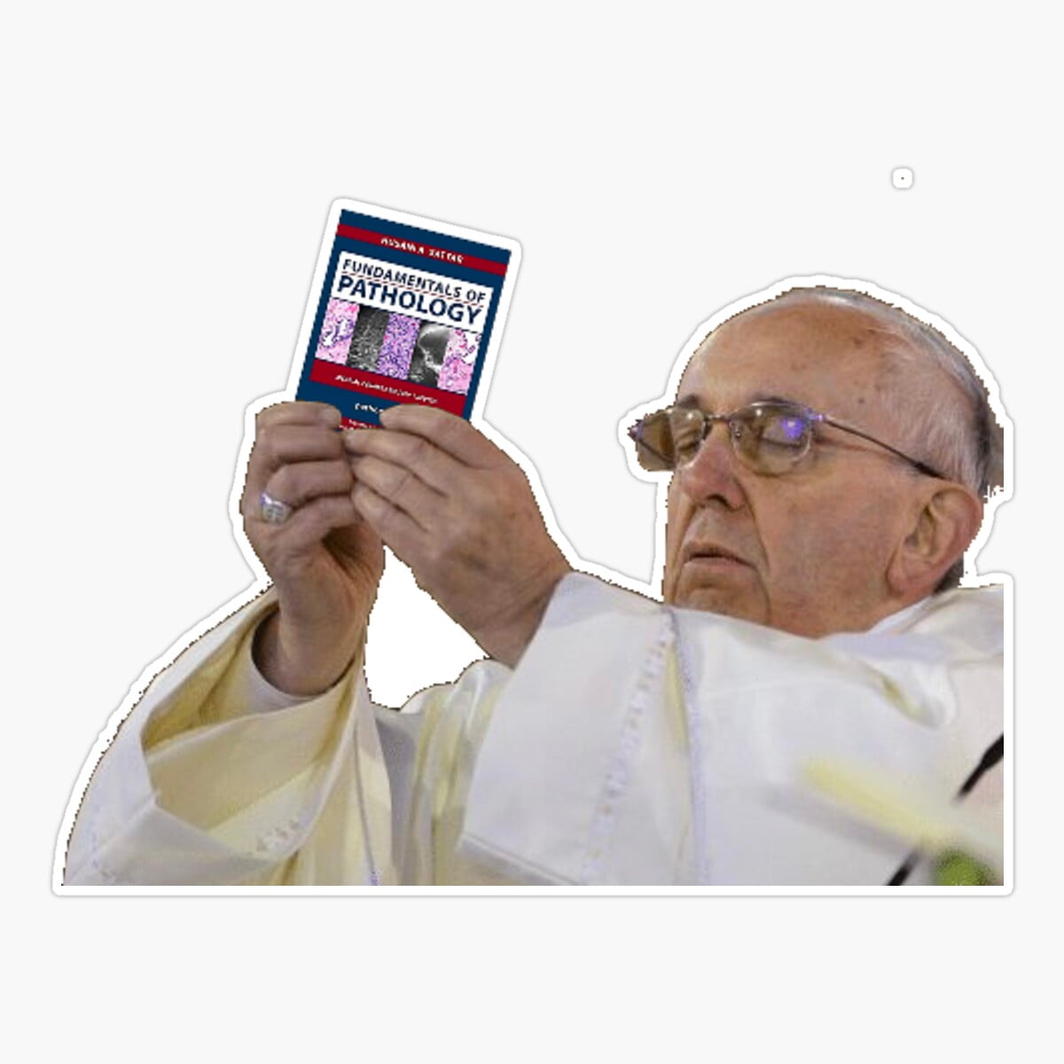 Maneki The Pope Holding Pathoma Er, Phone Decal Water Bottle Stickers ...