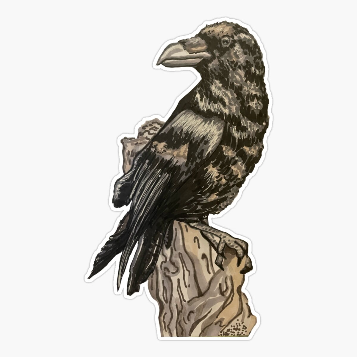 Maneki The Raven Perch Sticker, Phone Decal Water Bottle Stickers Car ...