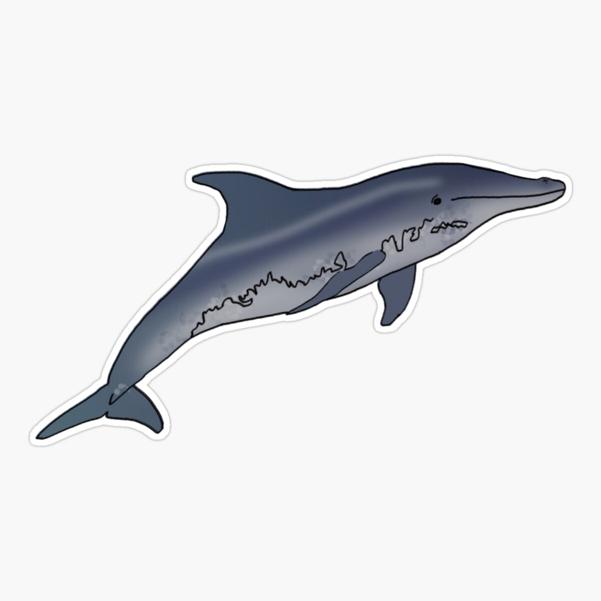 Maneki The Rose Of Longboat Key Rough Toothed Dolphin Realistic Series ...