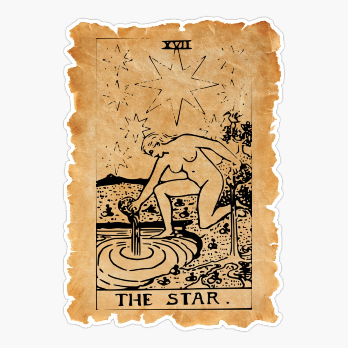Maneki The Star Tarot Card - Vintage Rough Edges Er, Phone Decal Water ...
