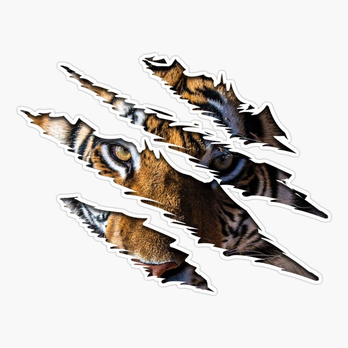 Maneki Tiger Face Claw Effect Big Cat Tiger Claw Slash Tiger Lover Gear ...