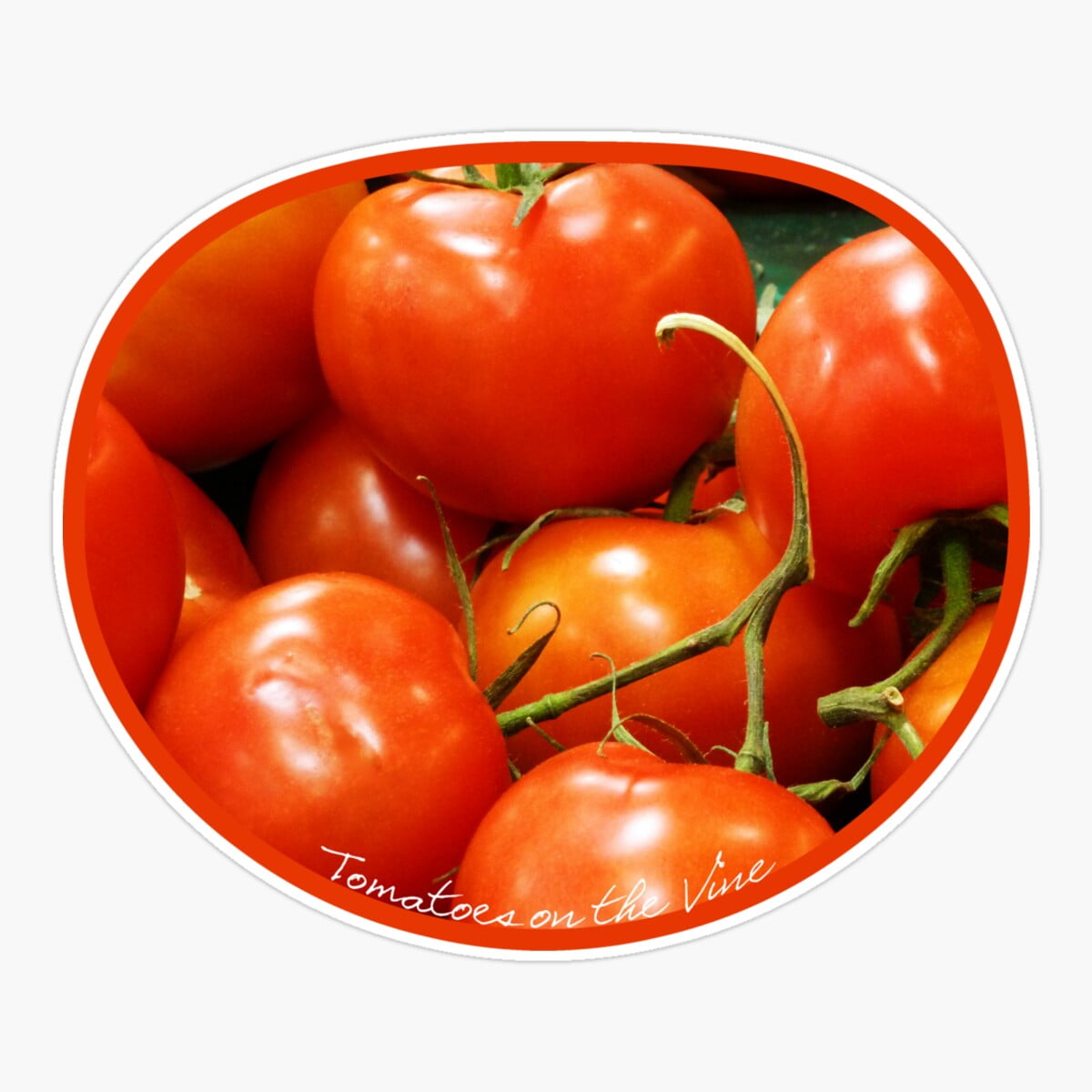 Maneki Tomatoes On The Vine Sticker, Phone Decal Water Bottle Stickers ...