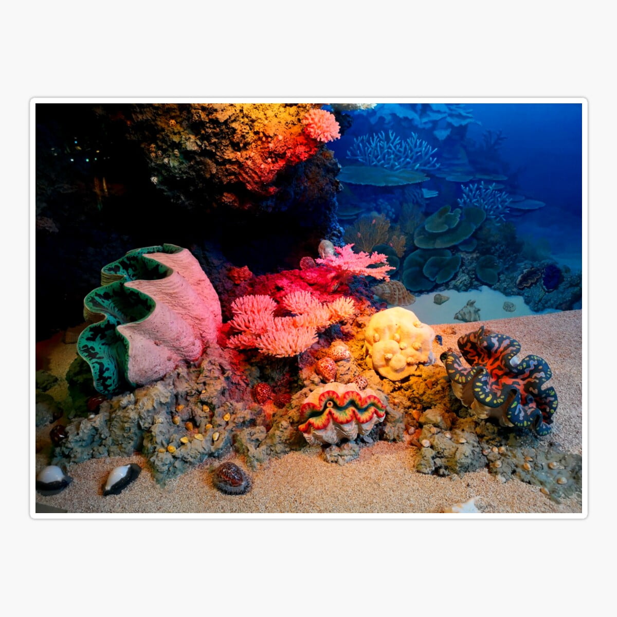 Maneki Tropical Undersea Coral Clam Seashells Sticker, Phone Decal ...