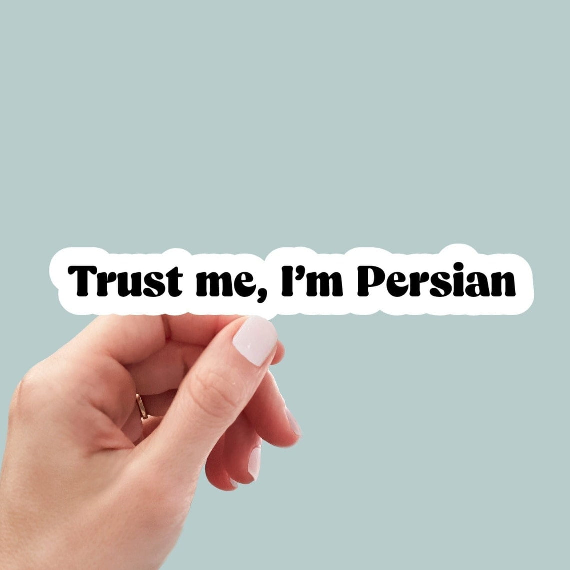 Maneki Trust Me I'm Persian er, funny ers, persian ers, laptop ers ...