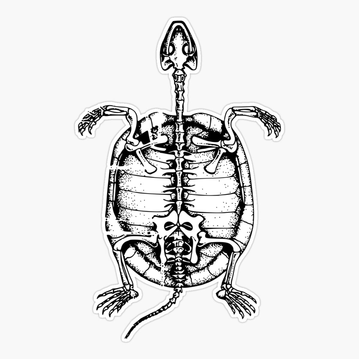 Maneki Turtle Skeleton Vintage Print Er, Phone Decal Water Bottle ...