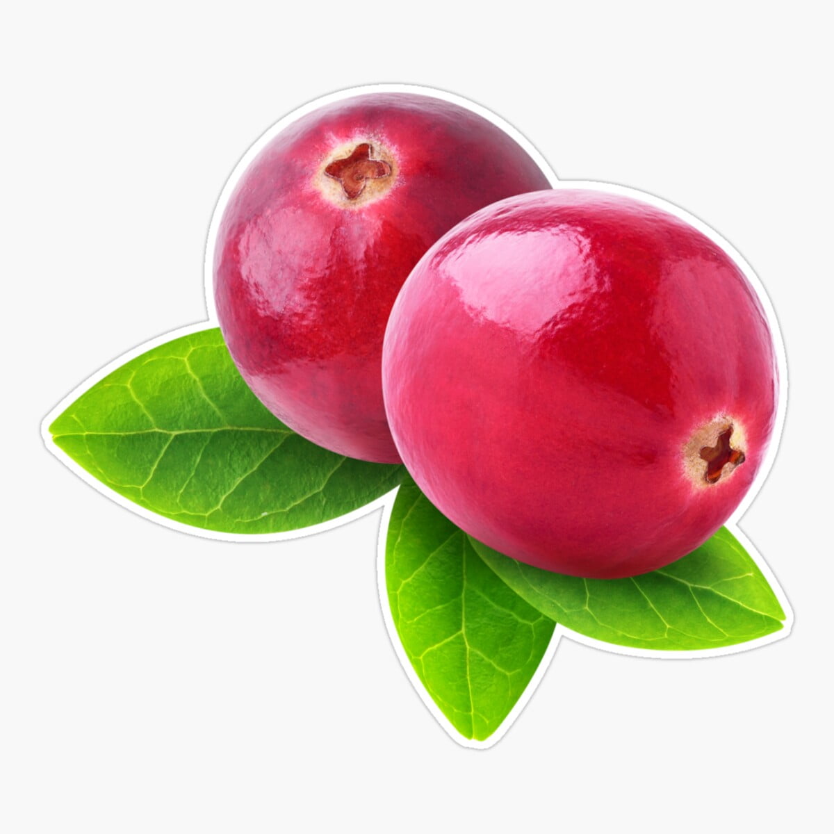 Maneki Two Cranberries Er, Phone Decal Water Bottle Stickers Car Decals ...