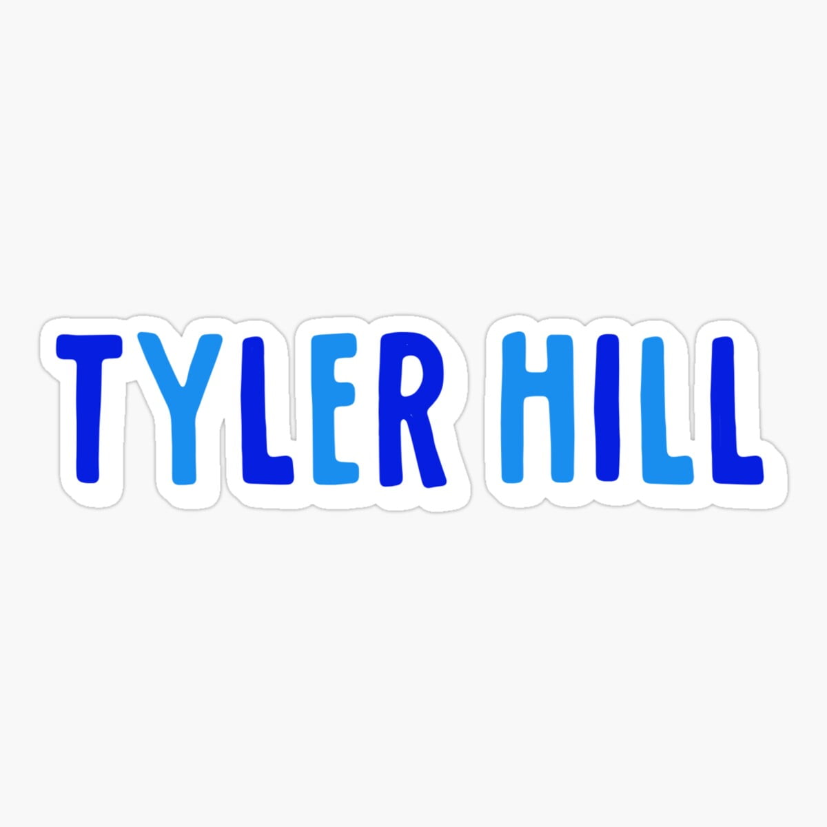 Maneki Tyler Hill Camp Sticker, Phone Decal Water Bottle Stickers Car ...