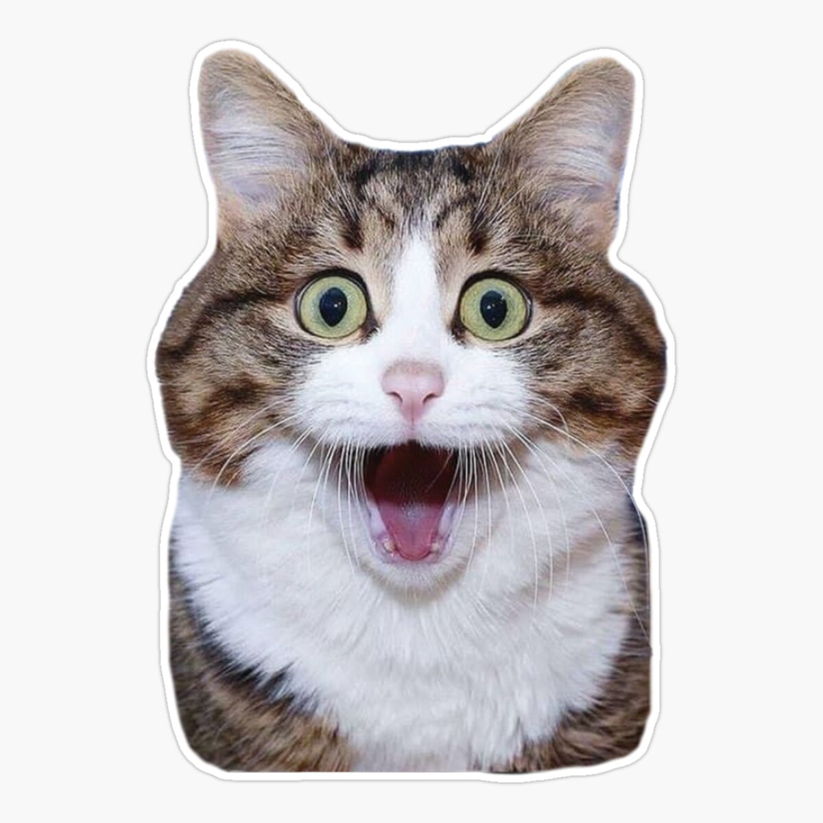 Maneki Unny Cat Reaction Sticker, Phone Decal Water Bottle Stickers Car ...