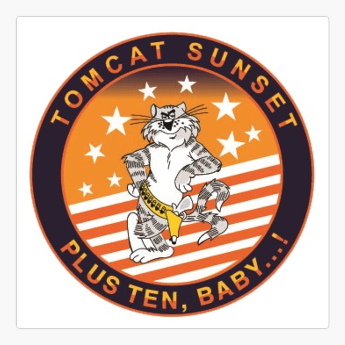 Maneki Us Navy Grumman F-14 Tomcat Sunset Plus Ten, Baby . . . ! Er ...