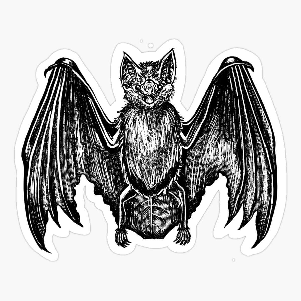 Maneki Vampire Bat Illustration Sticker, Phone Decal Water Bottle ...