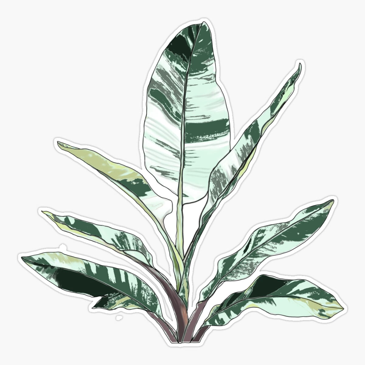 Maneki Variegated Banana Leaf Art Sticker, Phone Decal Water Bottle ...