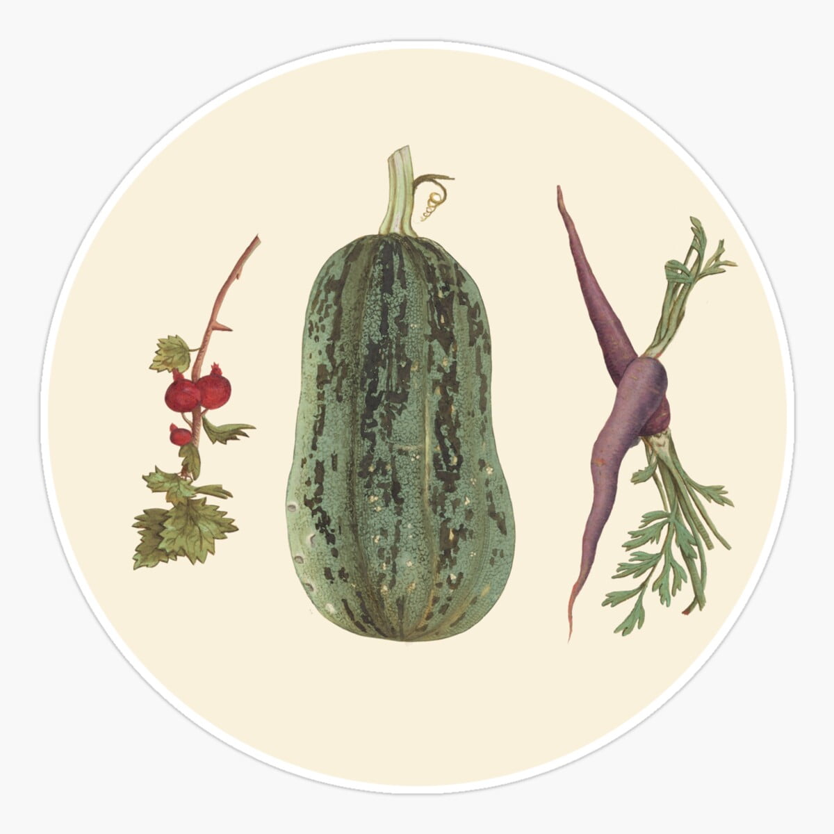 Maneki Vegetable Plate Sticker, Phone Decal Water Bottle Stickers Car ...