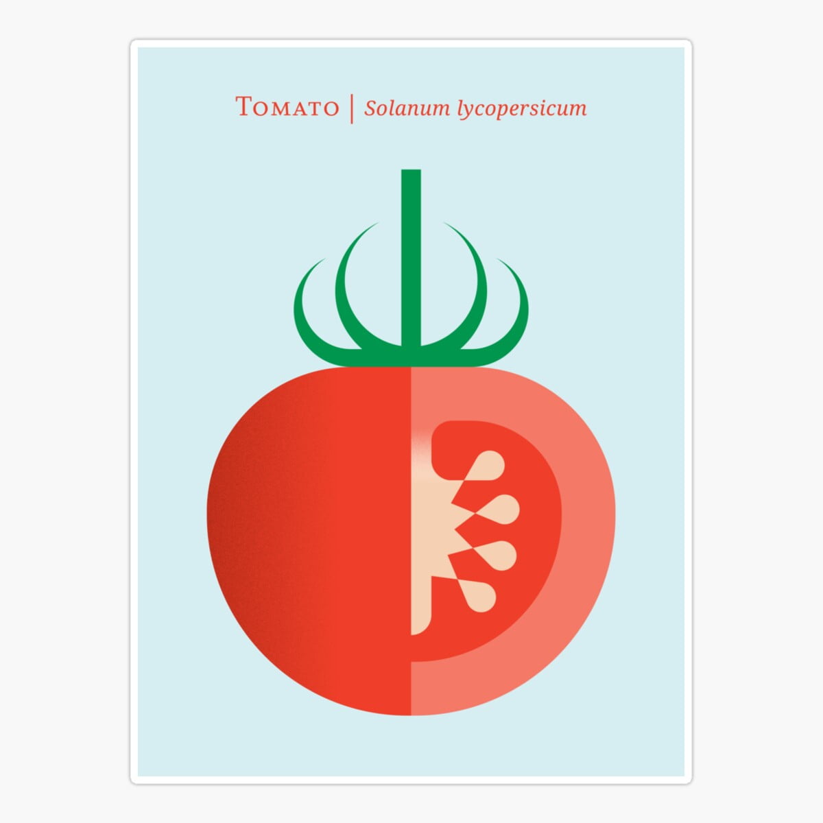 Maneki Vegetable: Tomato Sticker, Phone Decal Water Bottle Stickers Car ...