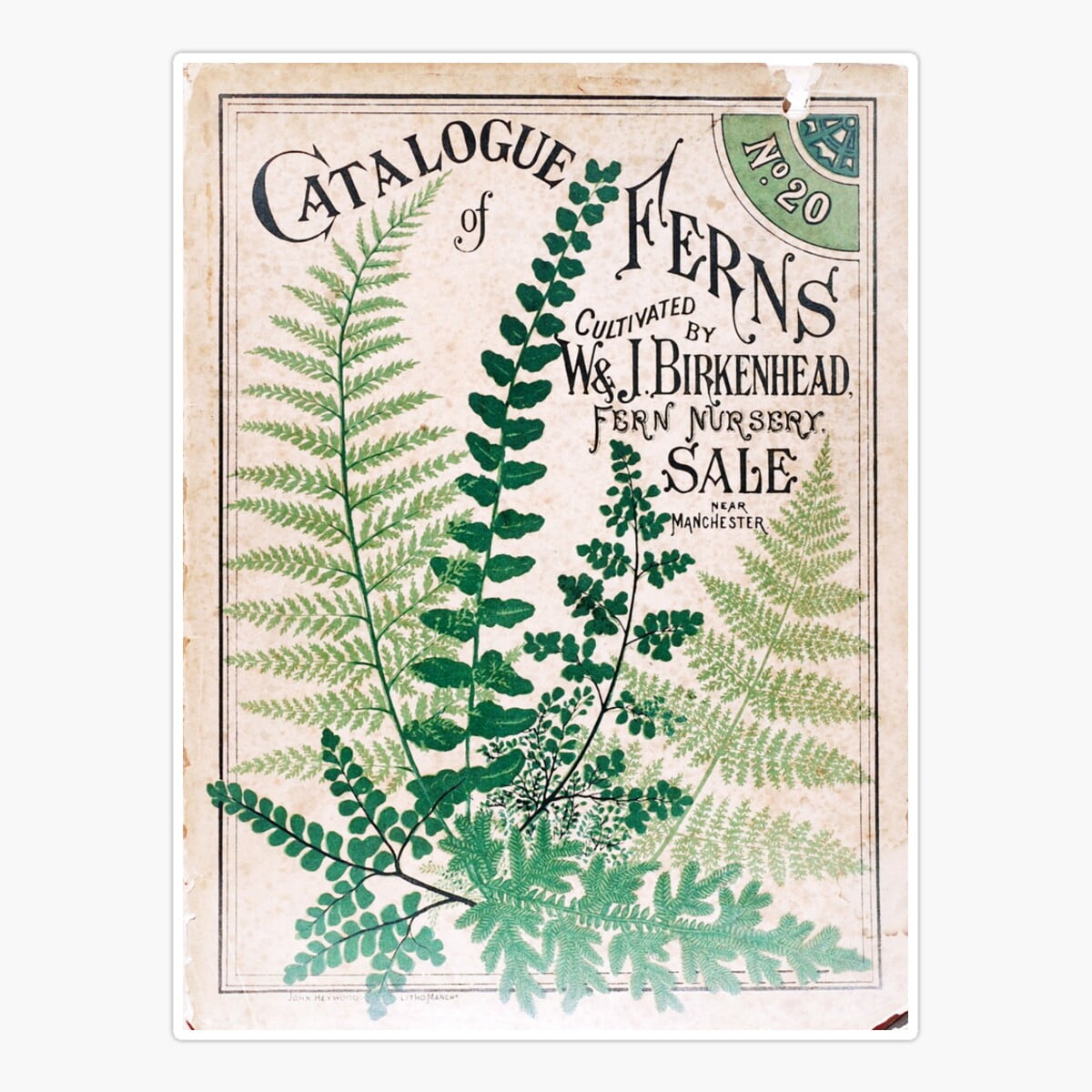 Maneki Vintage Botanical Ferns Sticker, Phone Decal Water Bottle ...