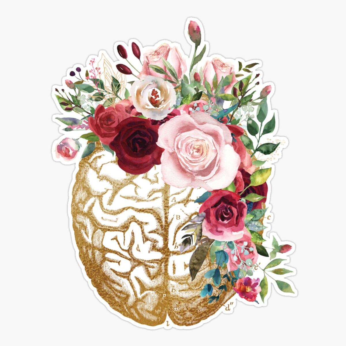 Maneki Vintage Brain Anatomy With Pink Roses Flowers Sticker, Phone ...