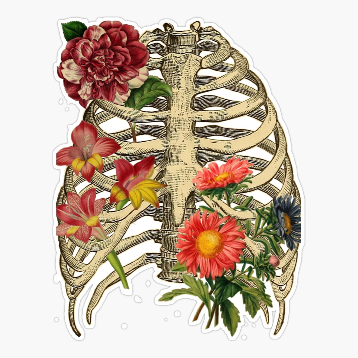 Maneki Vintage Floral Skeleton Rib Cage Sticker, Phone Decal Water ...