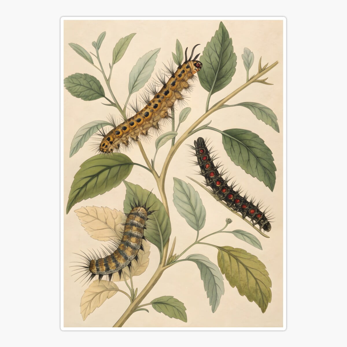 Maneki Vintage Lithography Poster With Flowers And Caterpillars Sticker ...