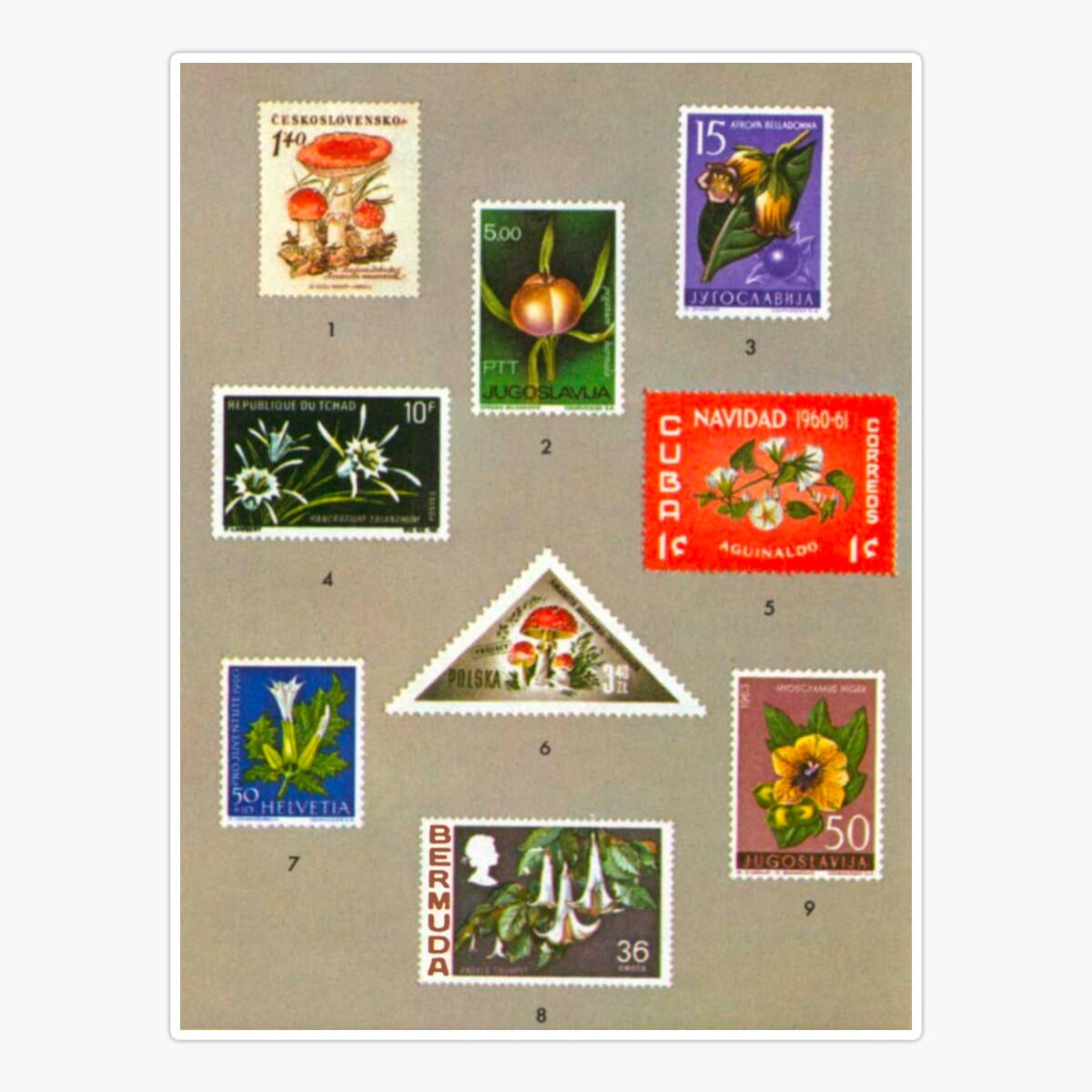 Maneki Vintage Plant Stamps Sticker, Phone Decal Water Bottle Stickers ...