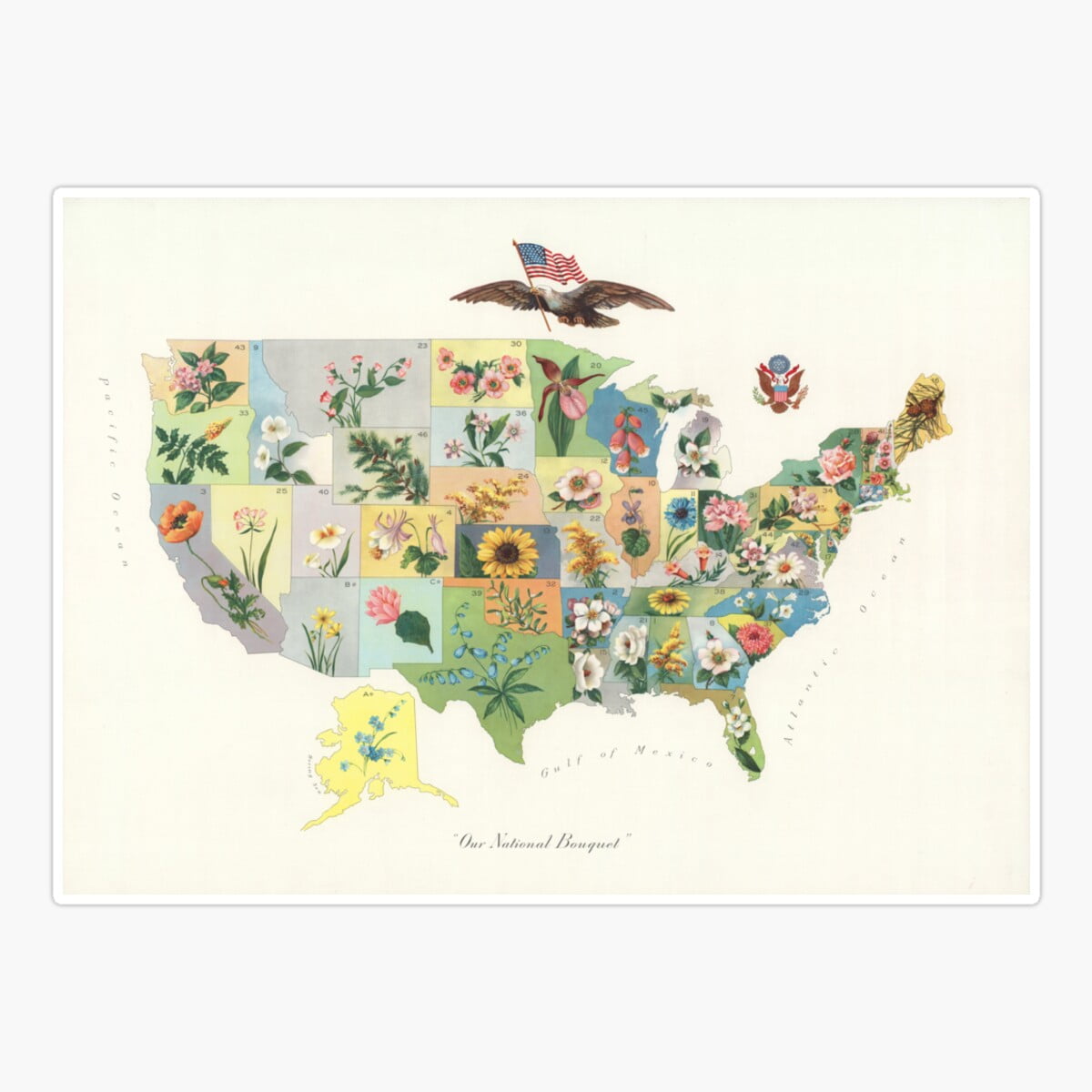 Maneki Vintage Us State Flower Map (1911) Sticker, Phone Decal Water ...