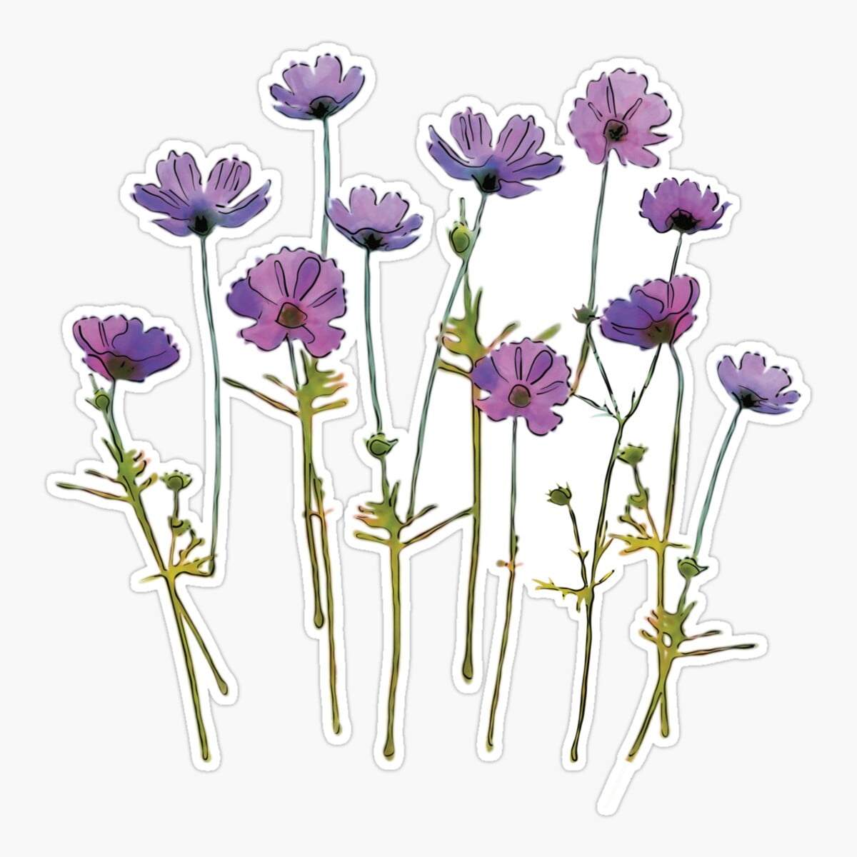 Maneki Violet Cosmos Flowers Watercolor Sticker, Phone Decal Water ...