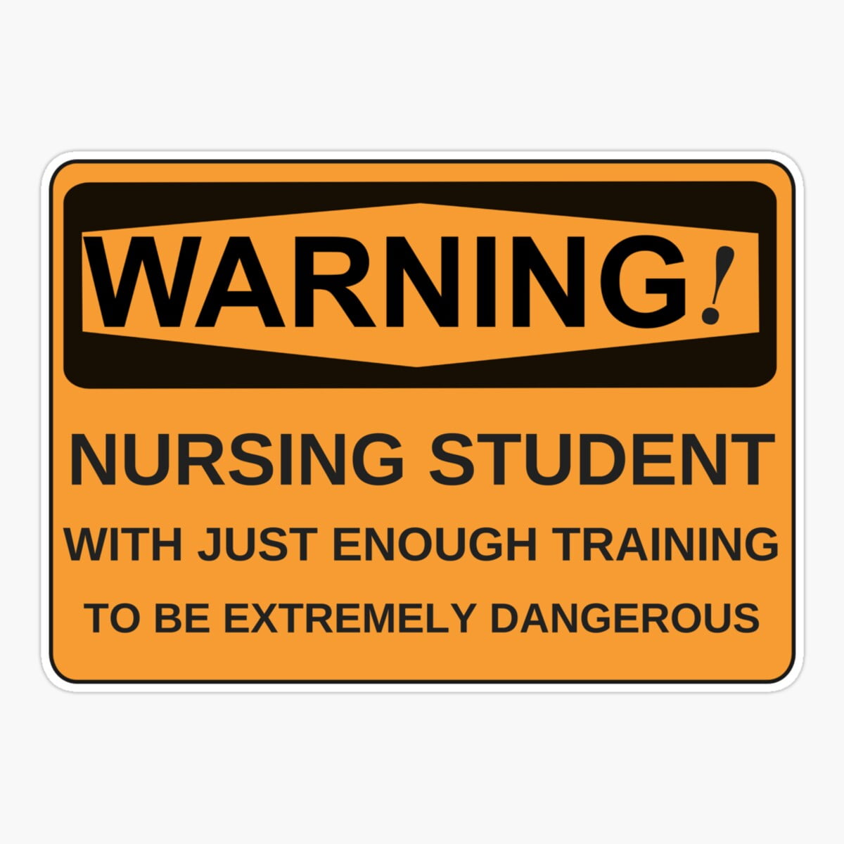 Maneki Warning: Nursing Student Er, Phone Decal Water Bottle Stickers ...