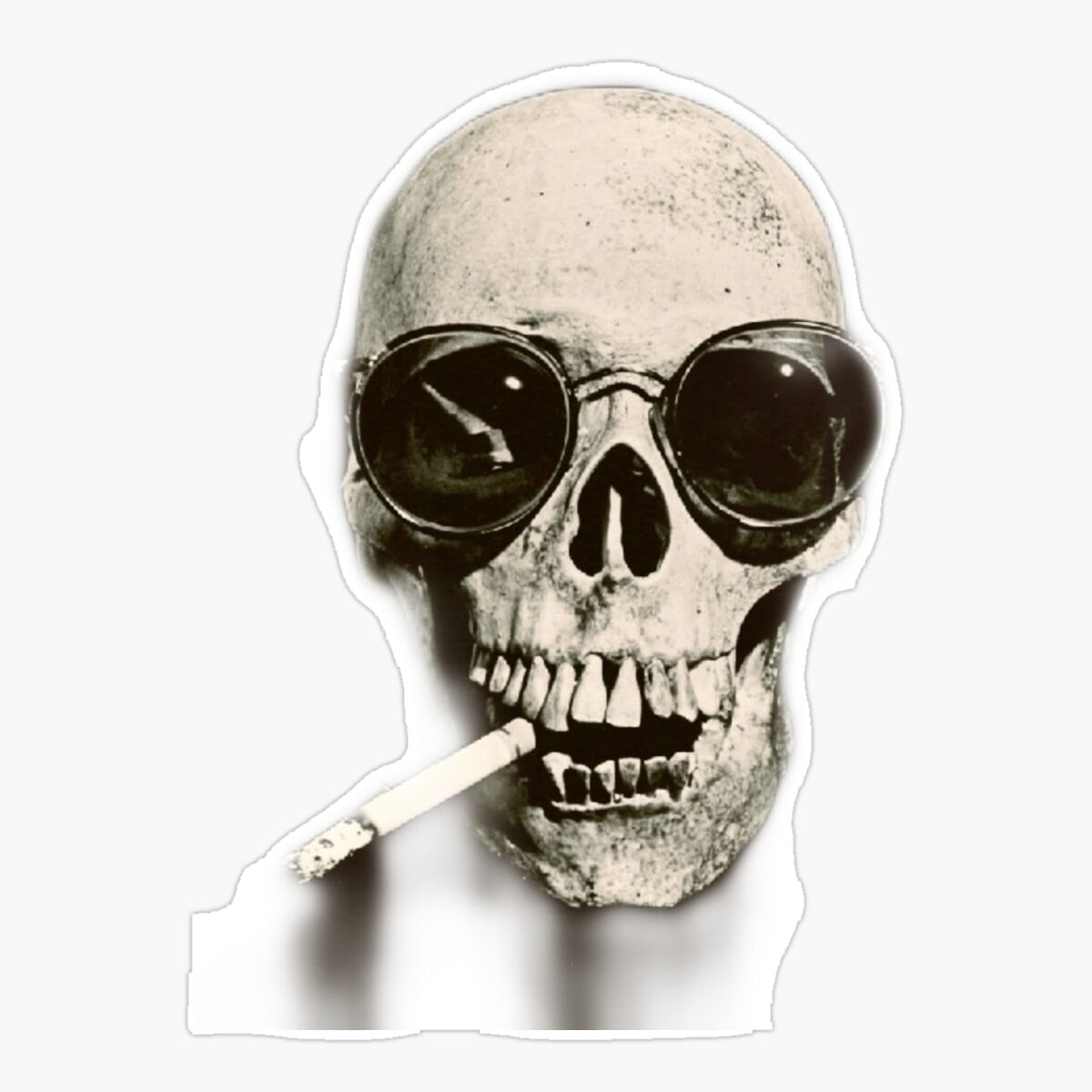 Maneki Warren Zevon Skull Or Iphone 12 Er, Phone Decal Water Bottle ...